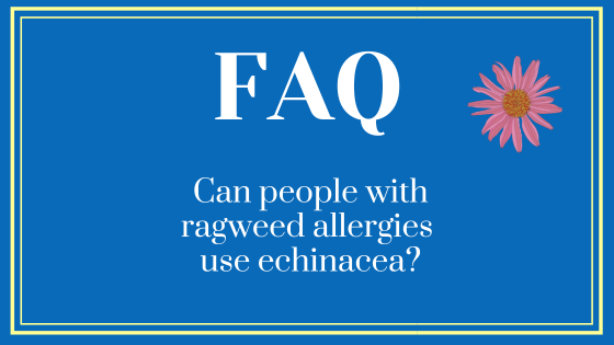 FAQ- Can people with ragweed allergies use echinacea? - TriLight Health