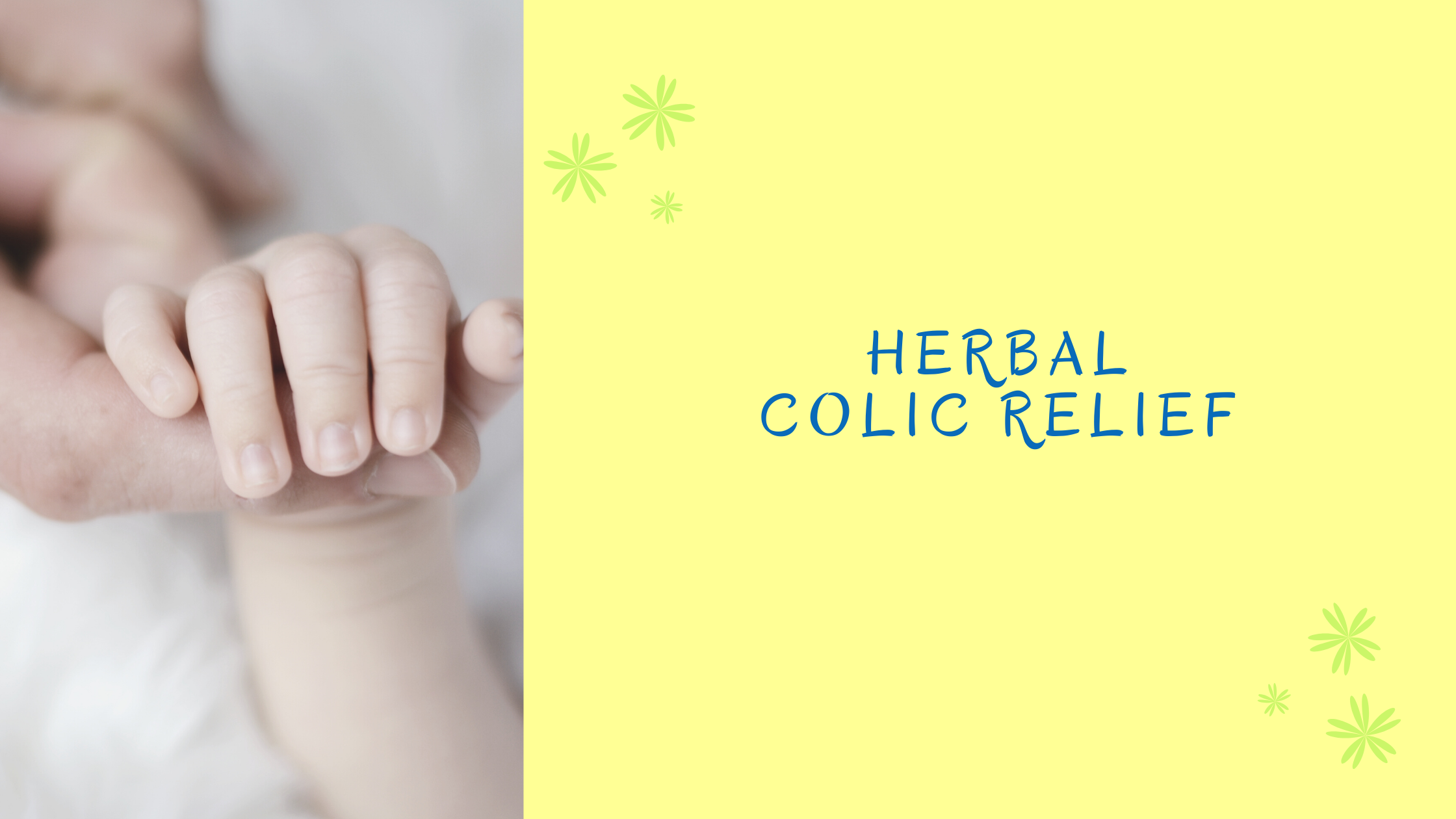 Herbal Colic Relief - TriLight Health