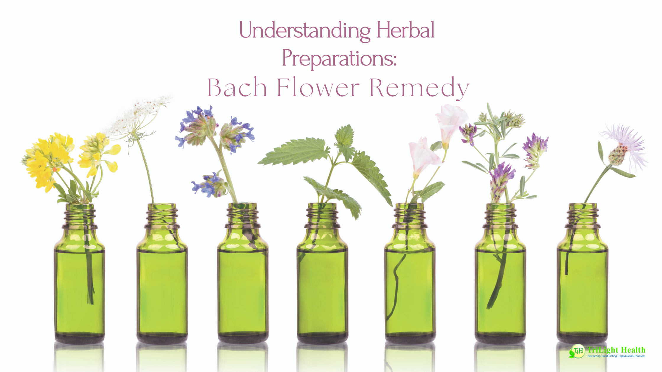 Understanding Herbal Preparations: Bach Flower Remedies - TriLight Health