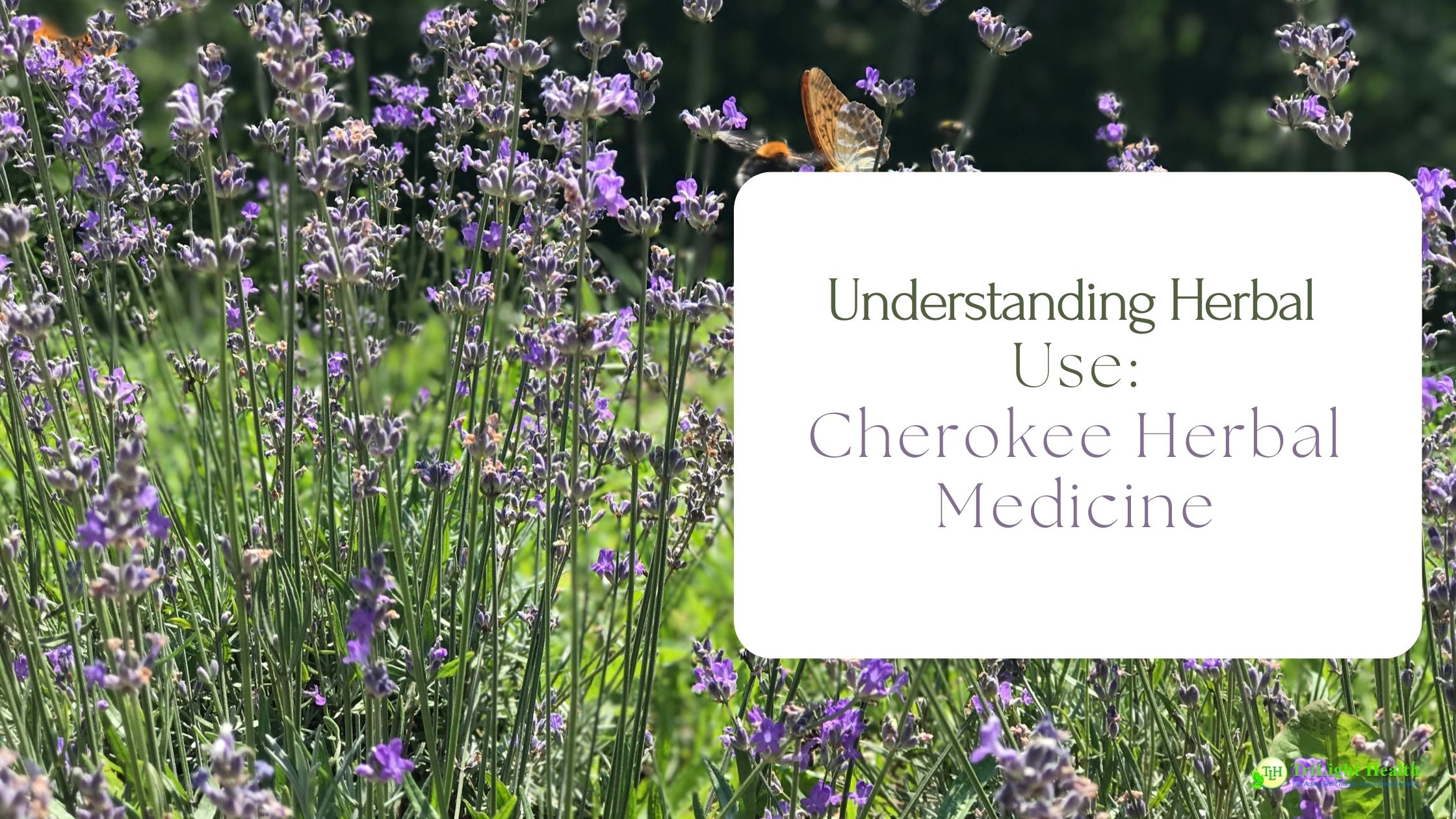 Understanding Herbal Use: Cherokee Medicine - TriLight Health
