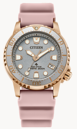 Citizen Watches | Donaldson Watch Repair