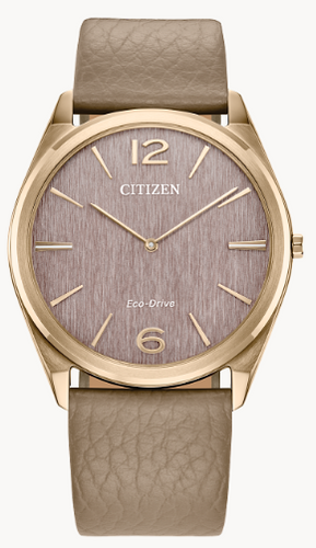 Citizen Suratto AR3123-00X | Donaldson Watch Repair