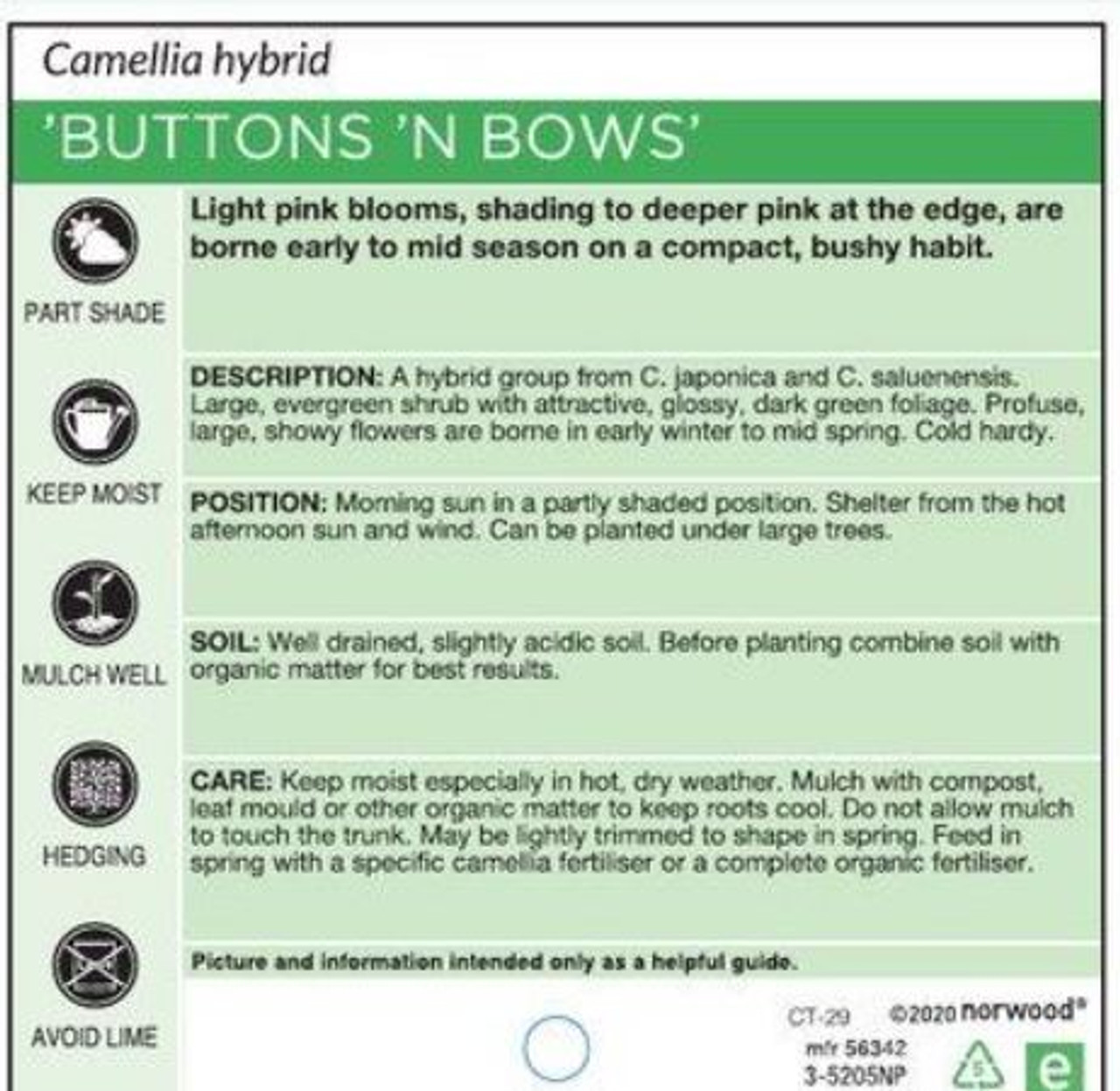 Camellia Buttons n Bows HYBRID