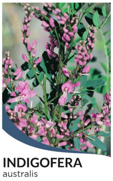 Blank 140 mm plant