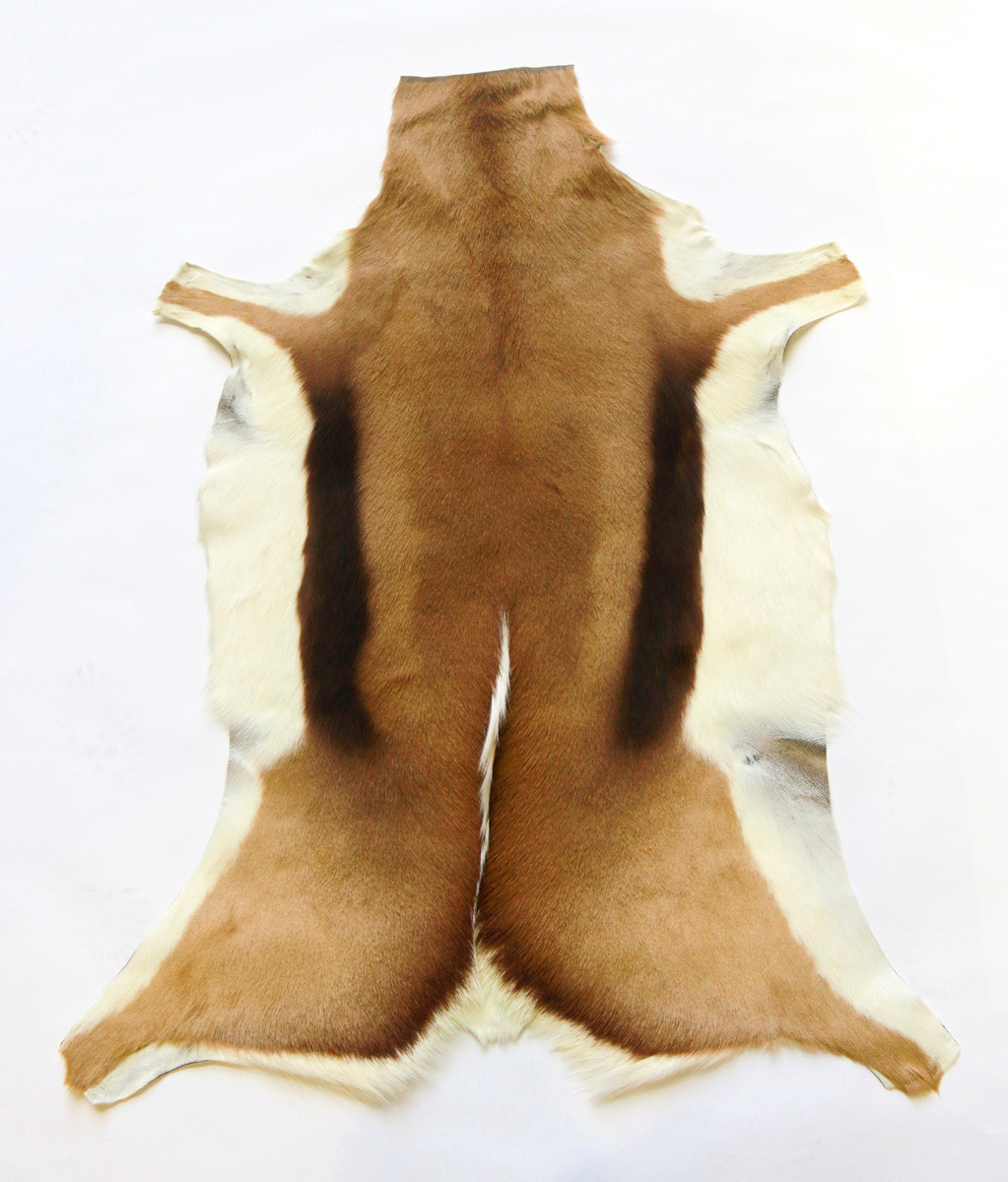 Springbok Hide