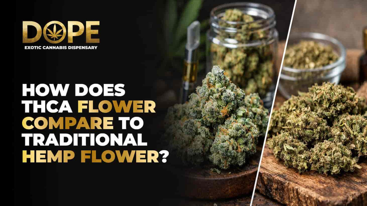 How does THCA flower compare to traditional hemp flower? - Dope