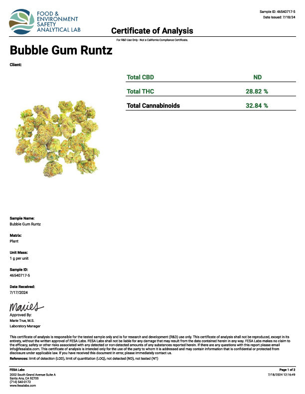 Bubblegum Runtz Strain Indica Hybrid THCA Flower 1/4 LB