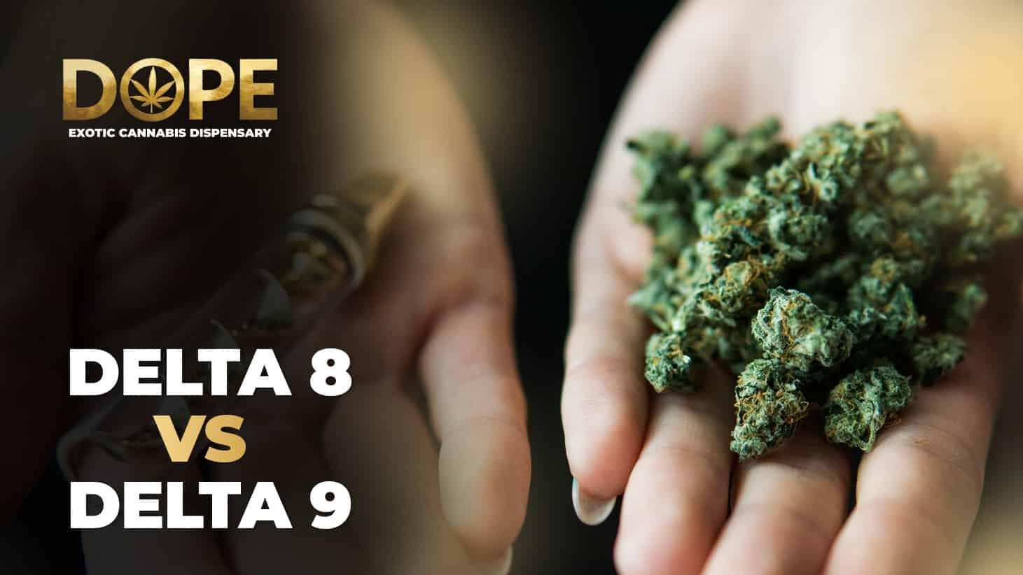 Delta 8 vs Delta 9 THC: What's the Difference Between Them? - Dope