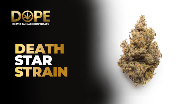 Death Star Strain Review: Effects, Flavor, Genetics | Dope - Dope