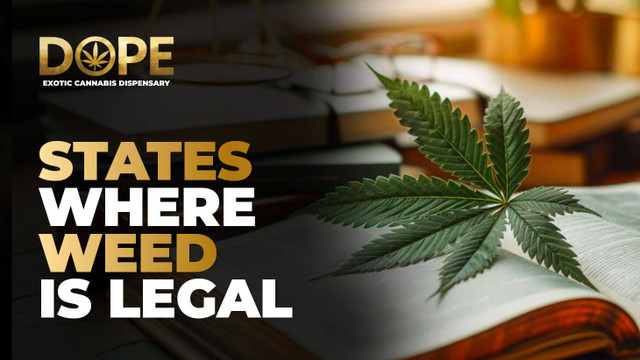 States Where Weed Is Legal in 2025: Updated List & Insights - Dope