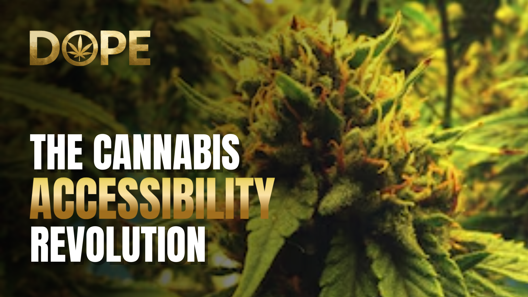How DOPE Delivers Premium Cannabis Straight to Your Door - Dope