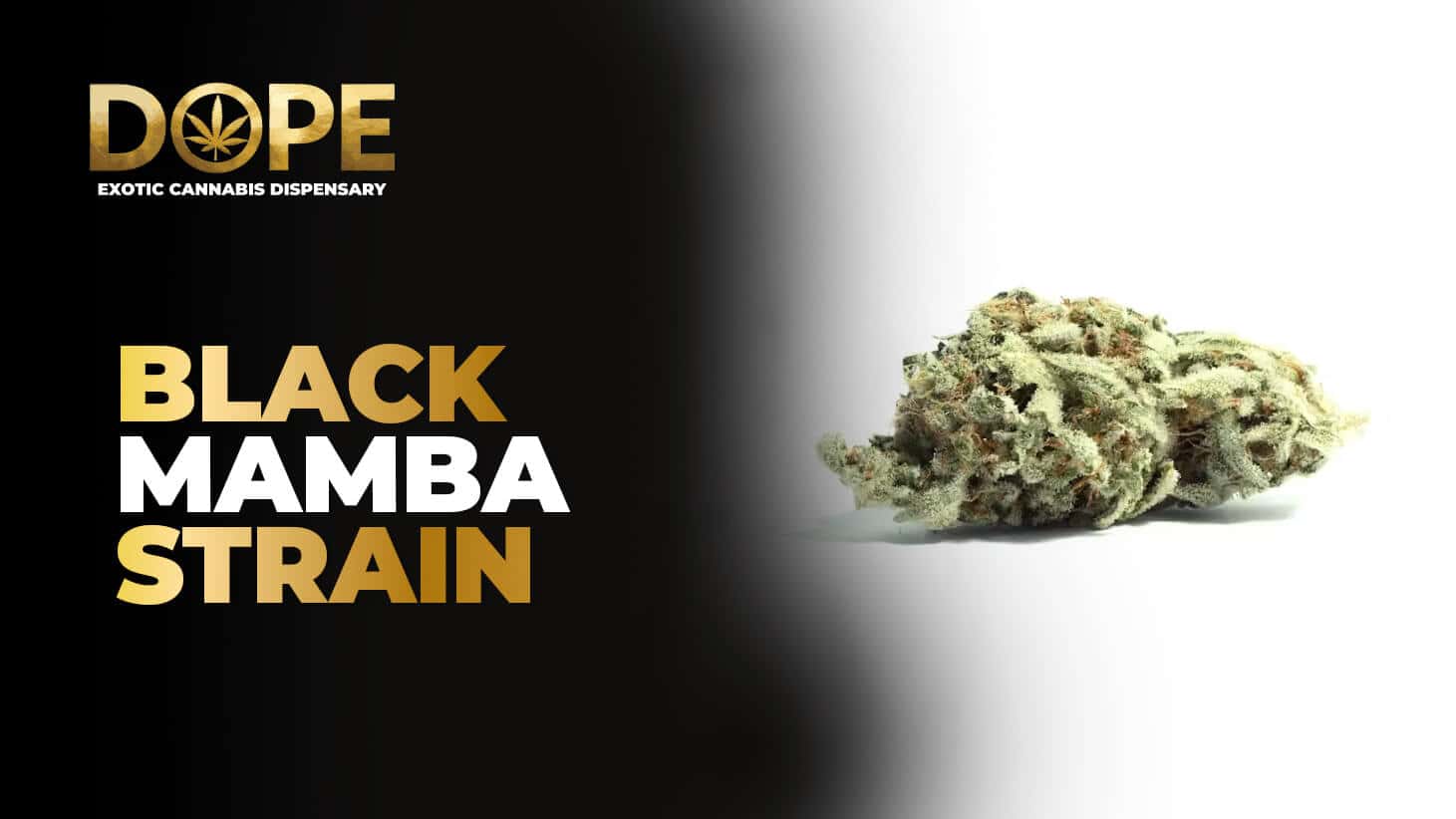 Black Mamba Strain Review | Flavor, Effects & Grow Guide - Dope