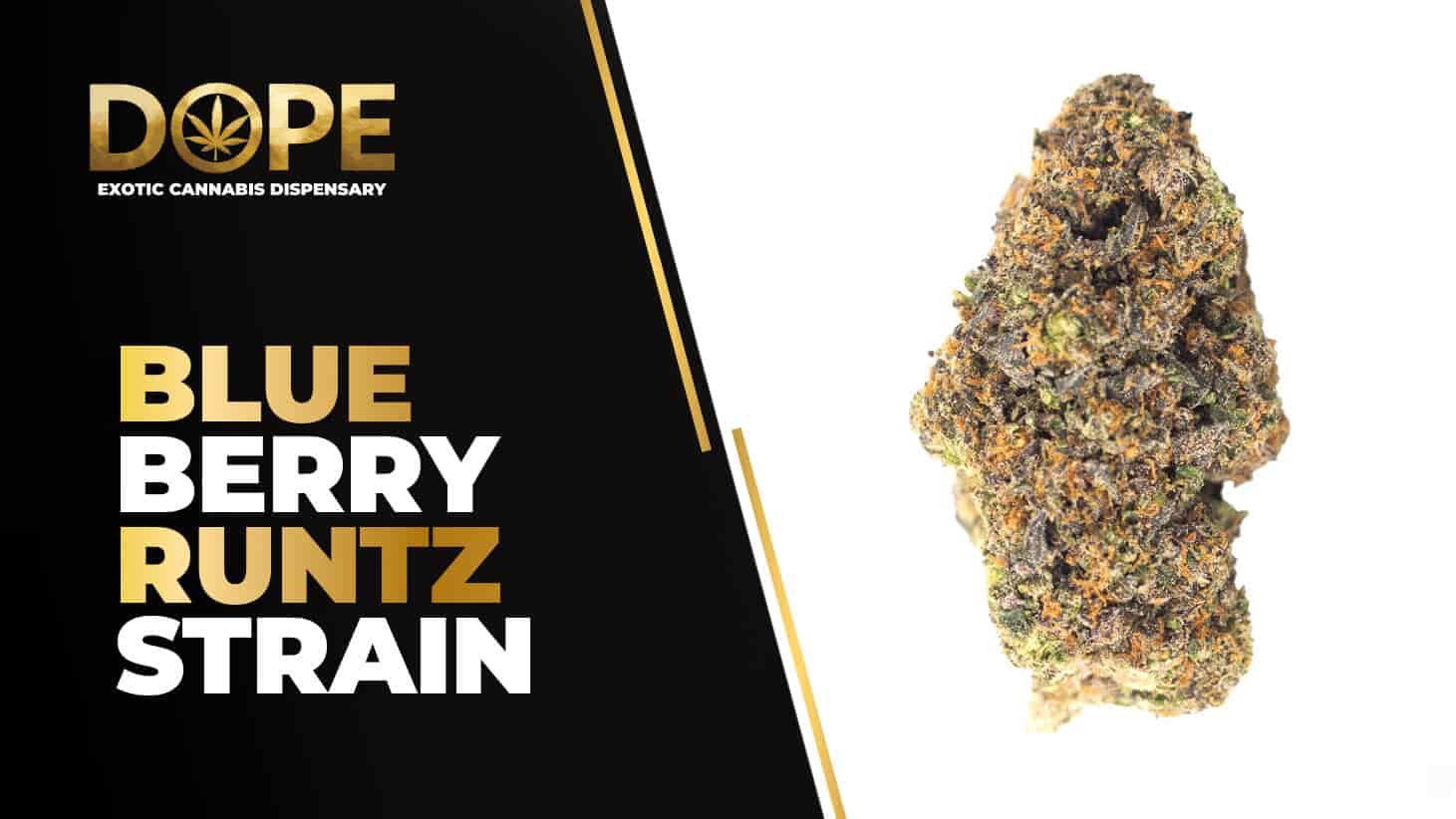 Blueberry Runtz Strain Review | Sweet Flavor & Effects - Dope