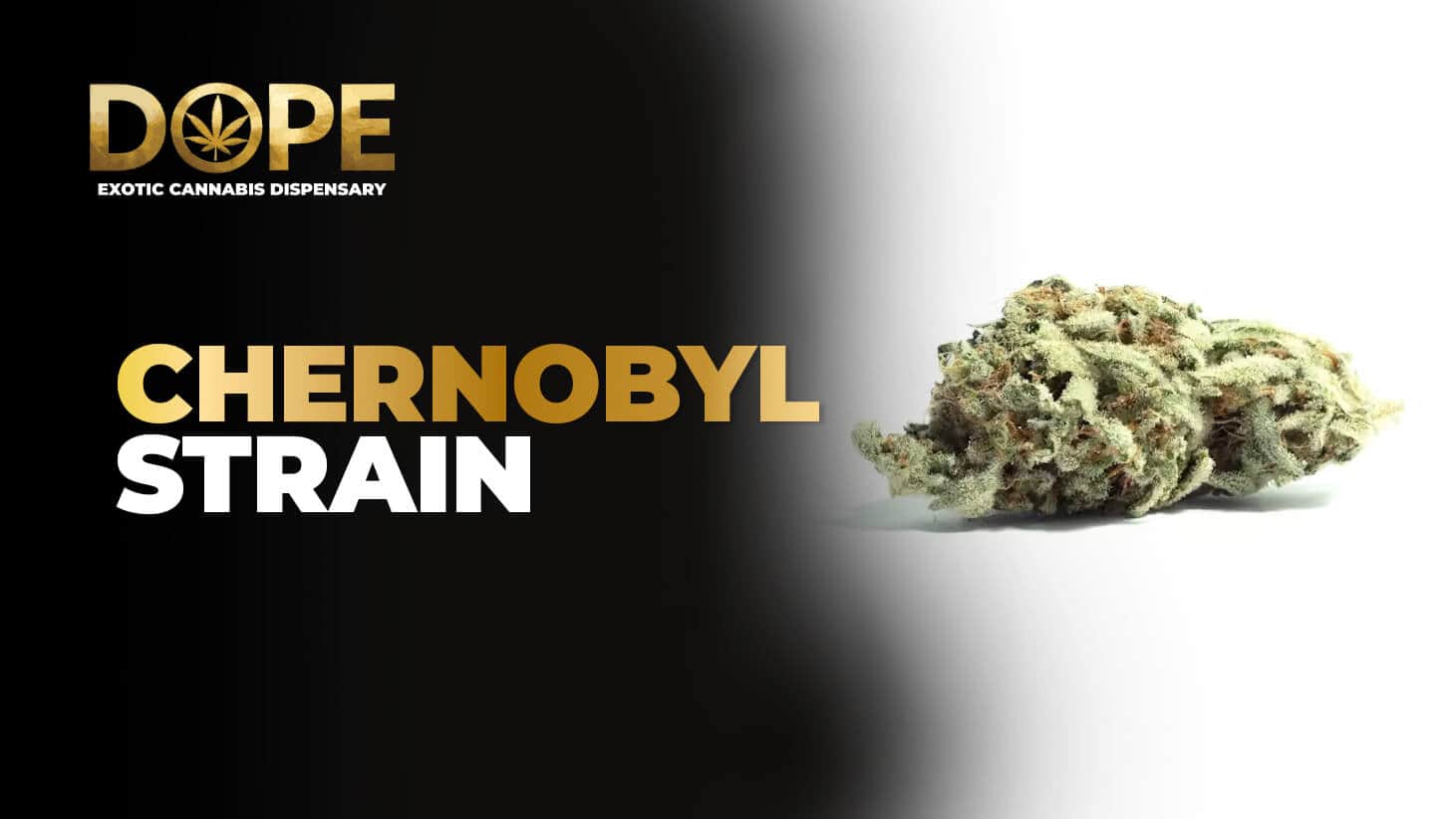 Chernobyl Strain 2025 Guide: Flavor, Effects & Growth - Dope