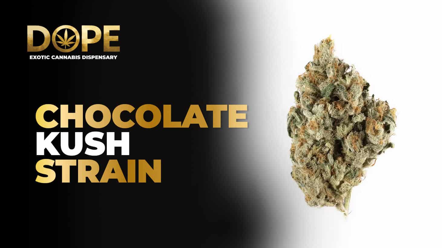 Chocolate Kush Strain: Flavor, Effects & Growing Guide - Dope
