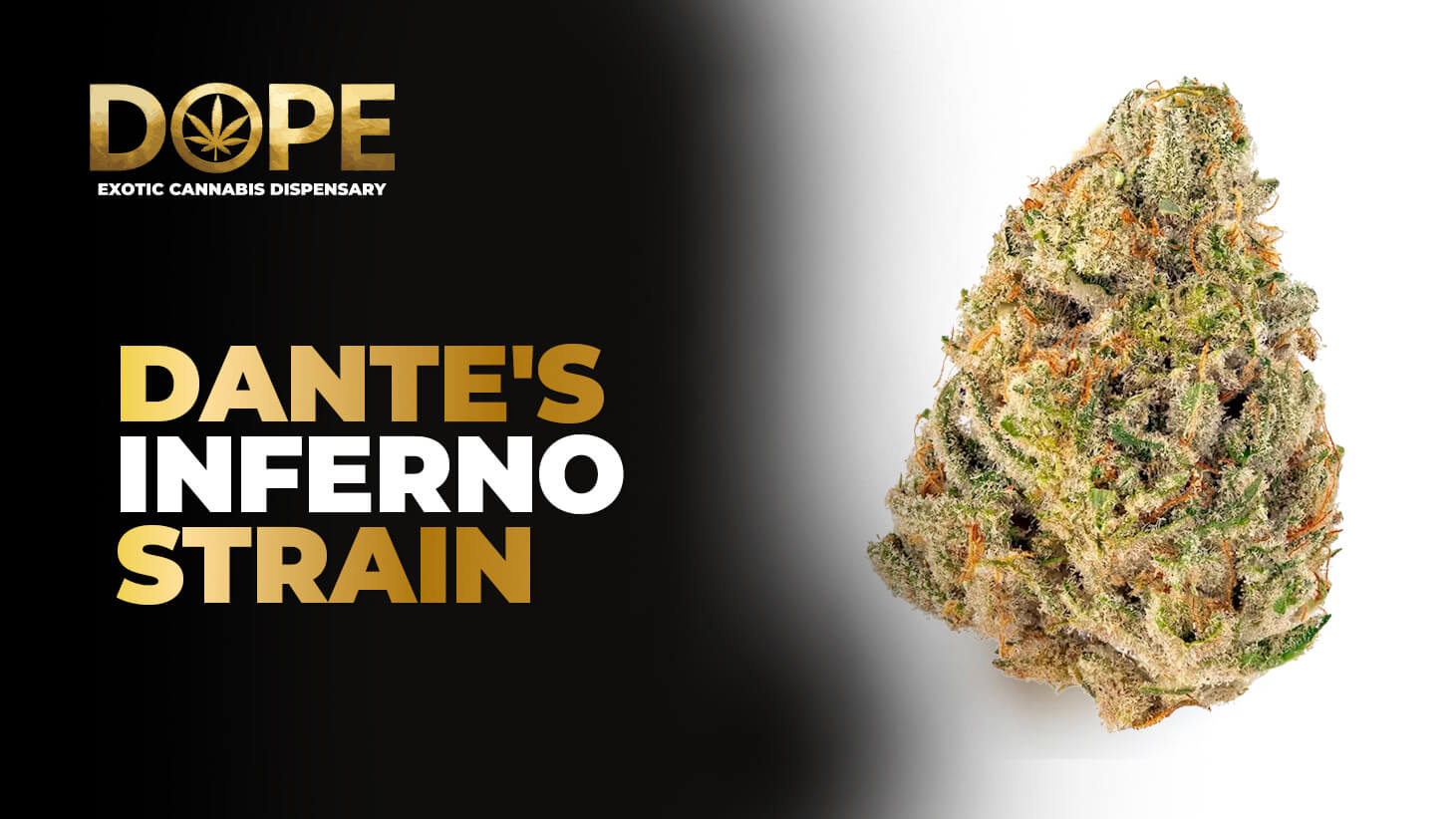 Dante’s Inferno Strain Info and Review | Dope THC - Dope
