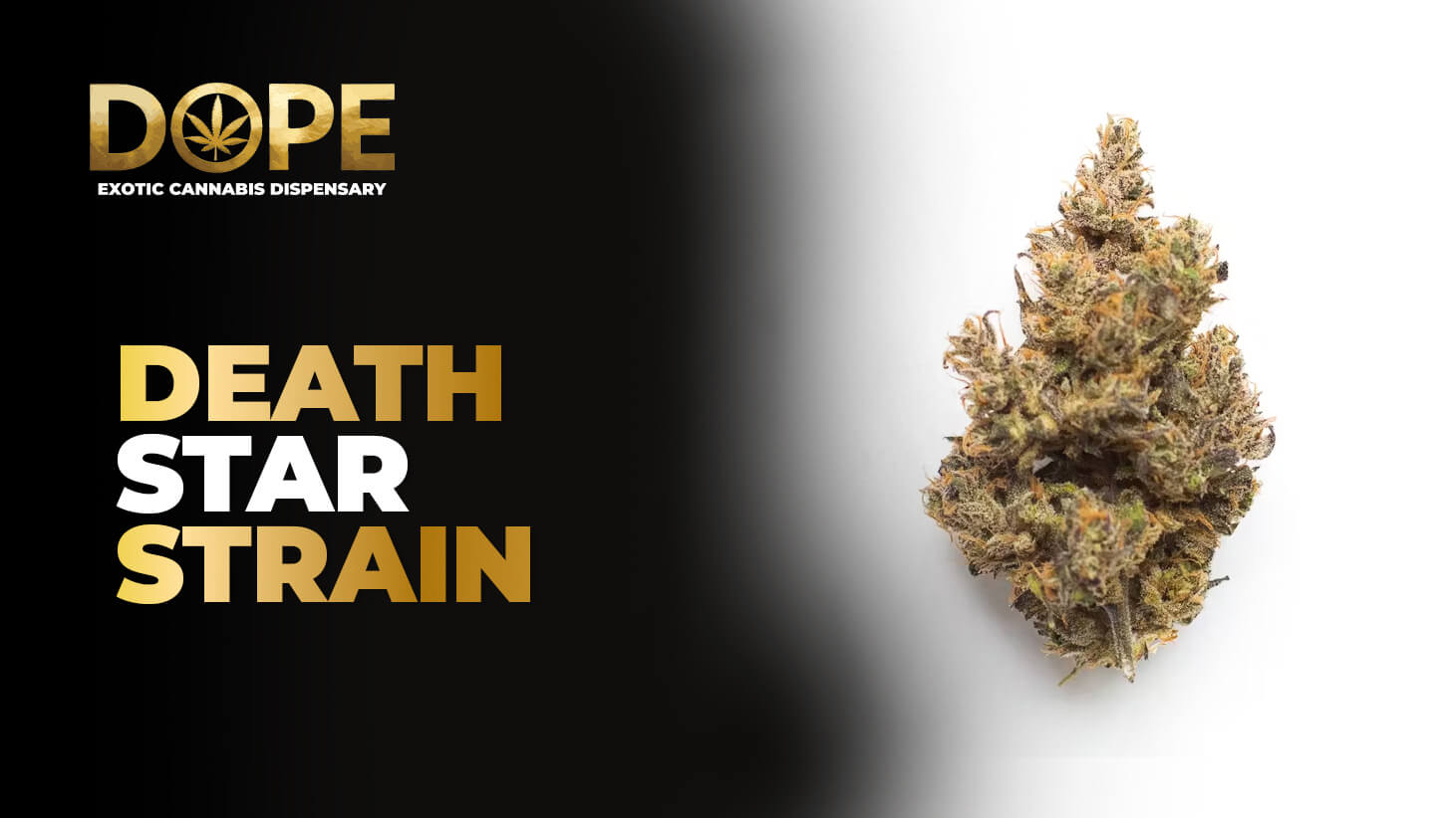 Death Star Strain Review: Effects, Flavor, Genetics | Dope - Dope