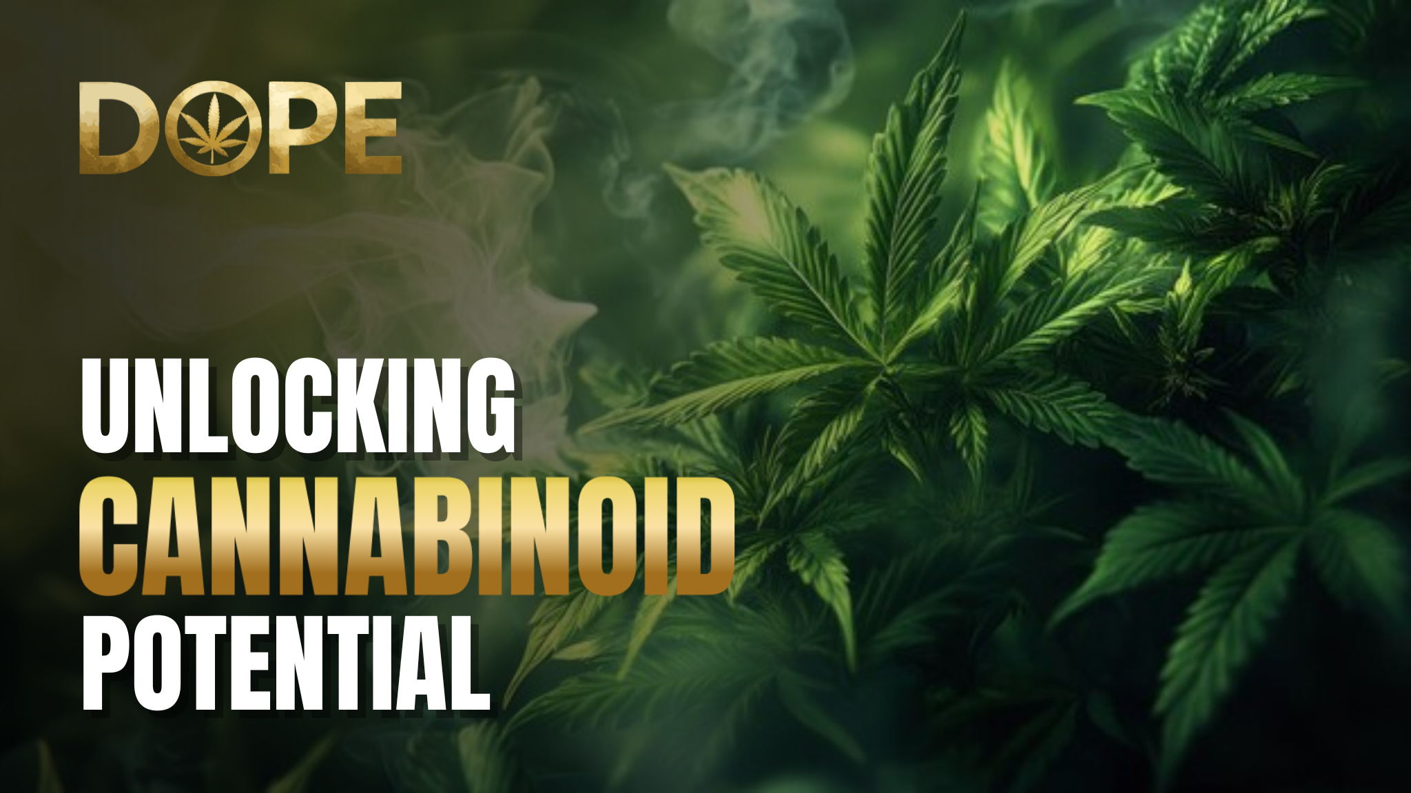 Unlocking the Full Potential of Cannabinoids - Dope