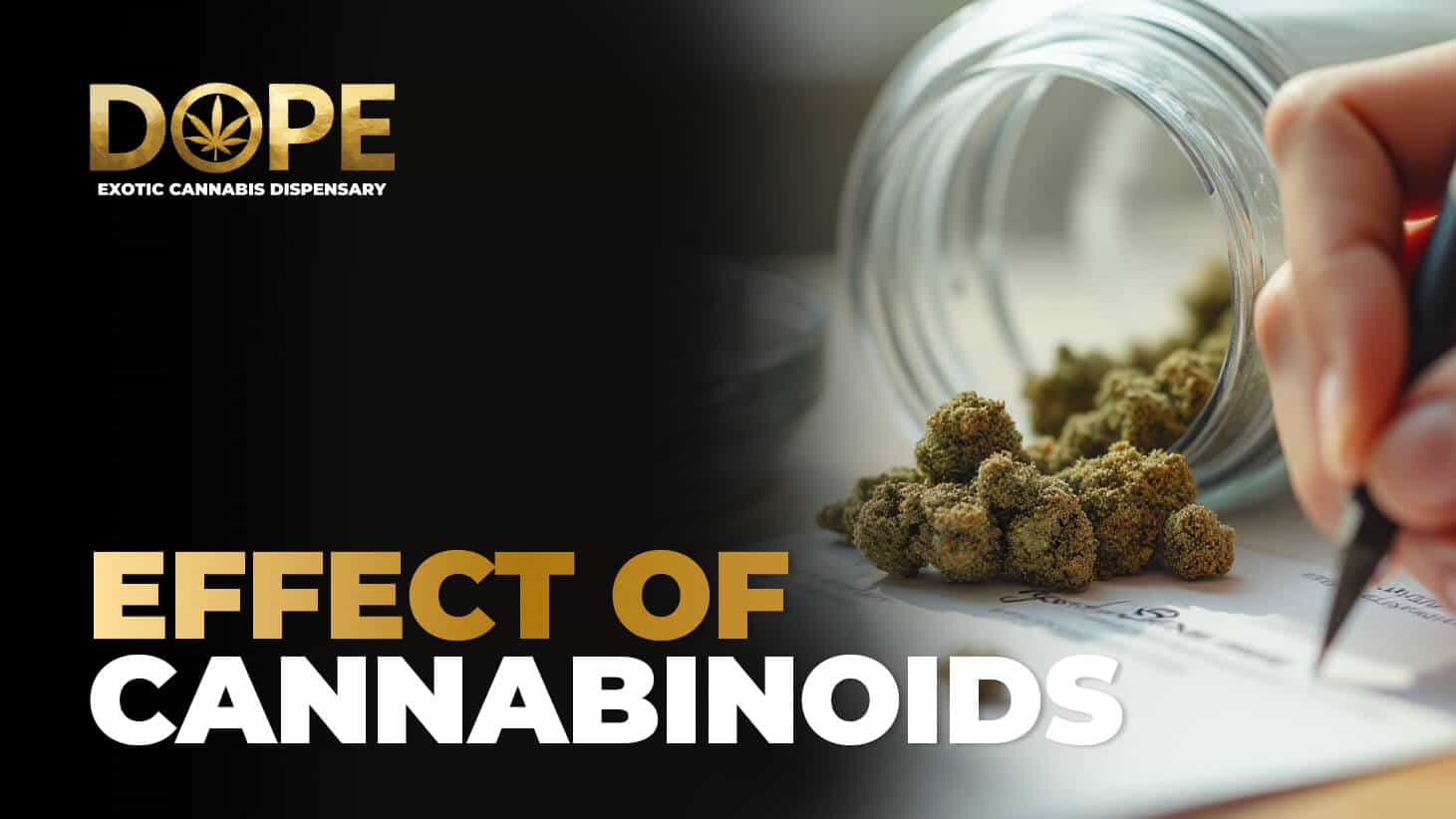 Positive and Negative Effects of Cannabinoids: What You Need to Know - Dope