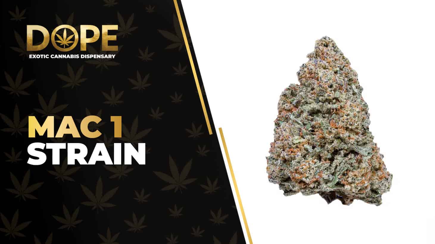 MAC 1 Strain Review: Effects, Flavor & Potency Guide - Dope