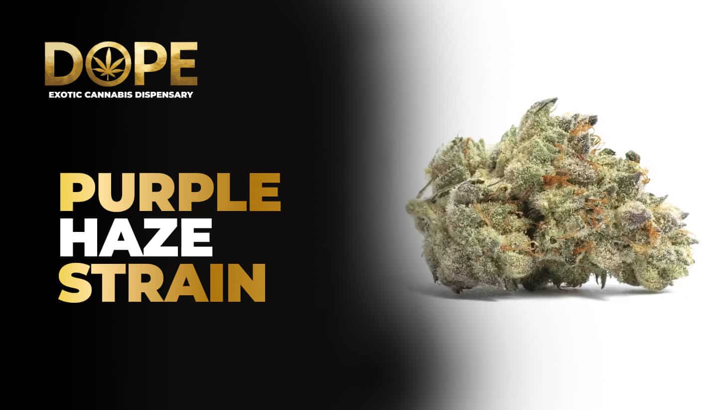 Purple Haze Strain Review | Effects, Flavor & Grow Guide - Dope