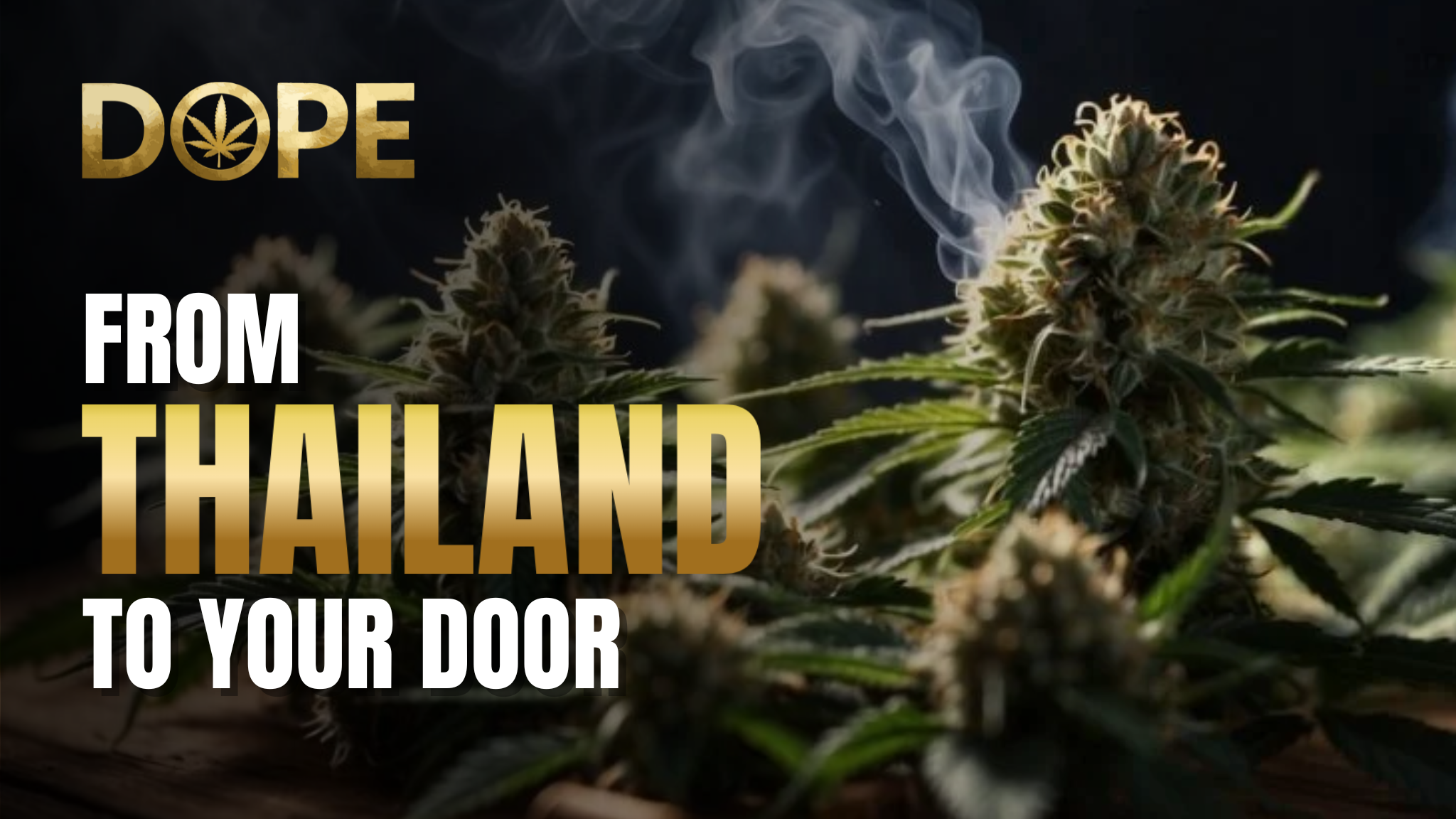 From Thailand to the US : DOPE Dispensary’s Premium Cannabis - Dope