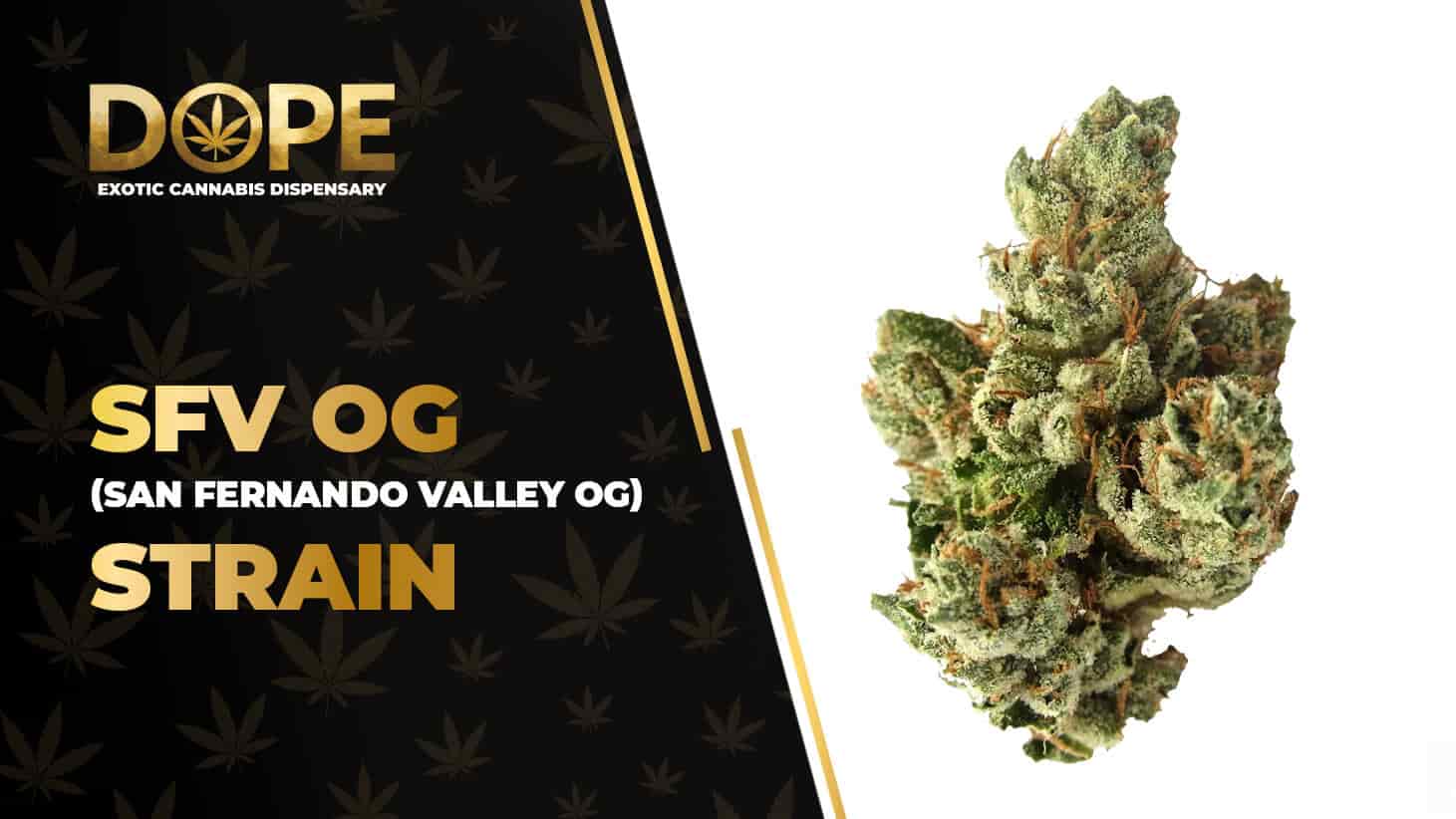 SFV OG Strain Review: Citrus Kush & Balanced High - Dope