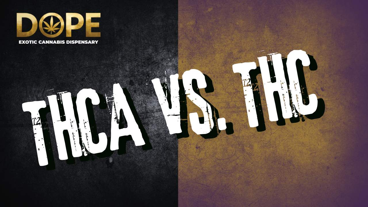 THCA vs THC: What's the Difference Between Them? - Dope