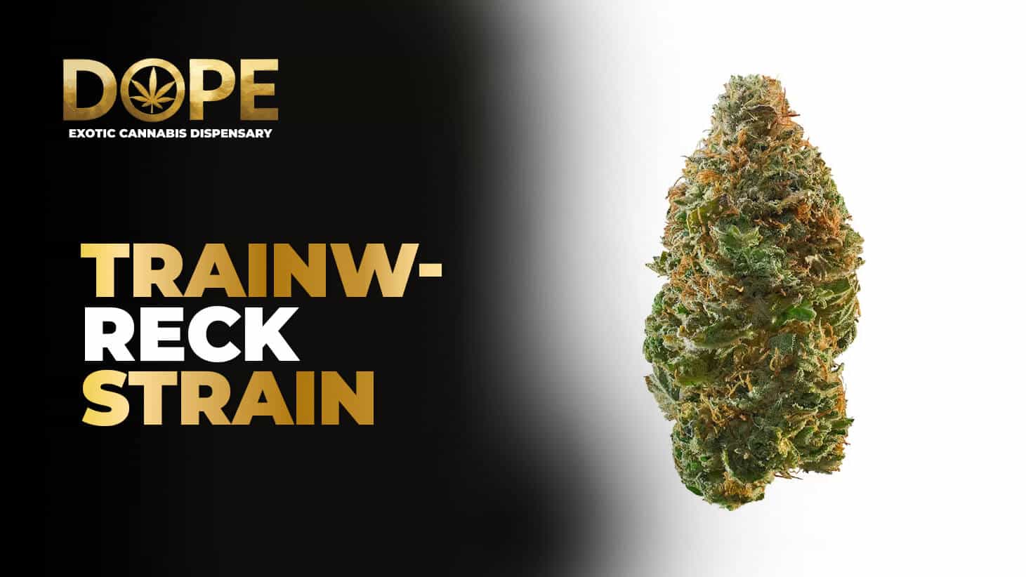 Trainwreck Strain Guide: Effects, Flavor, THC & Growing - Dope