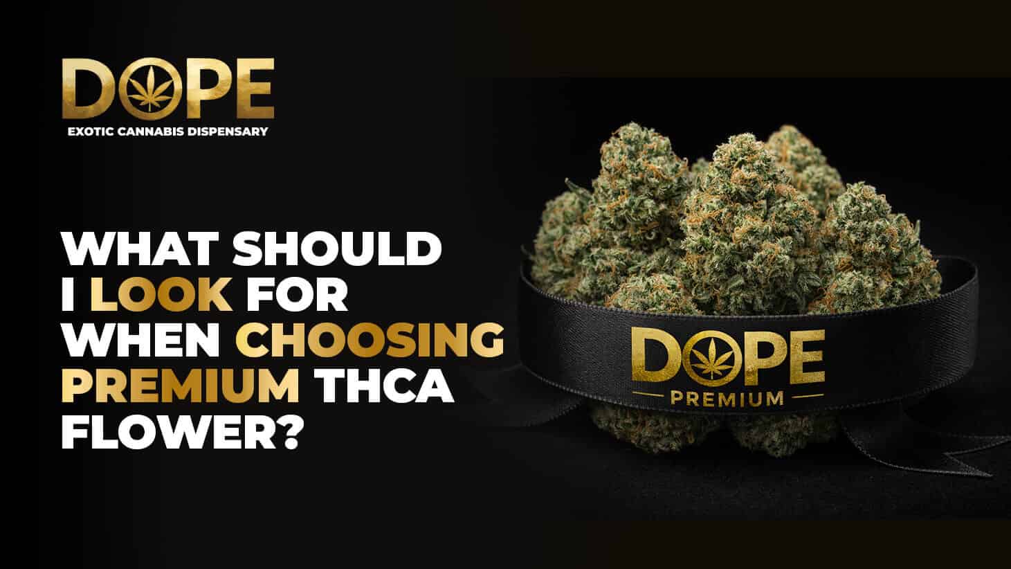 What should I look for when choosing premium THCA flower? - Dope
