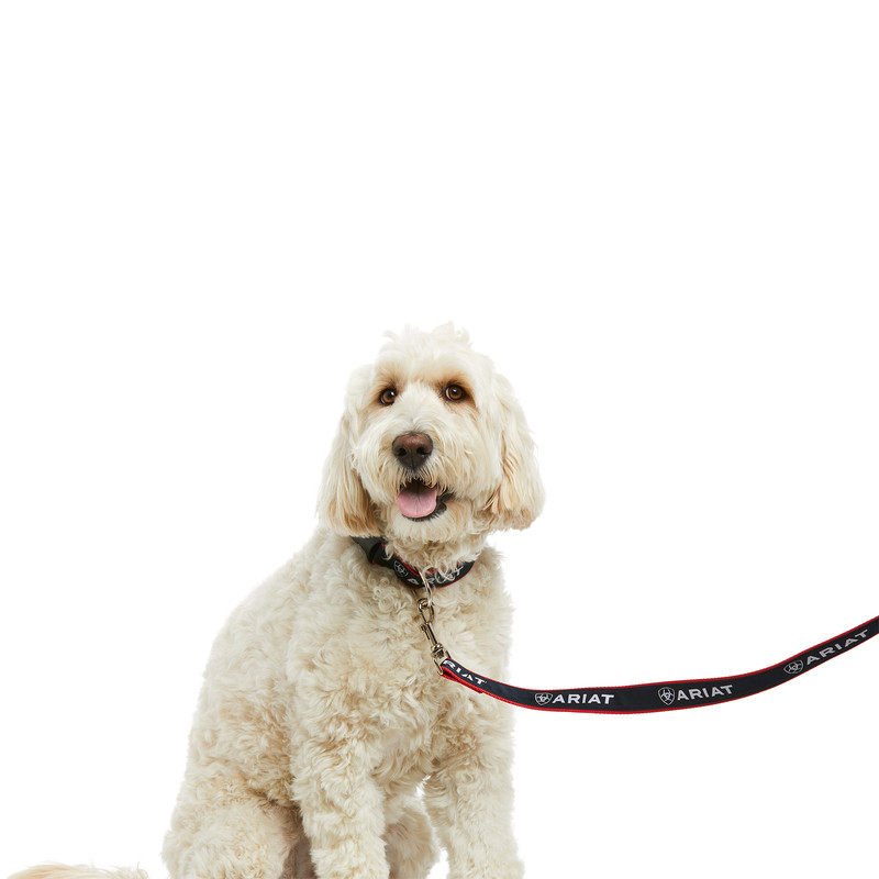 Ariat Dog Leash - Airds Of Lochinvar