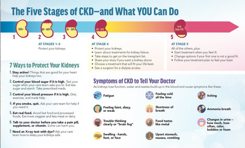 Chronic Kidney Disease (CKD): Take Charge of Your Health