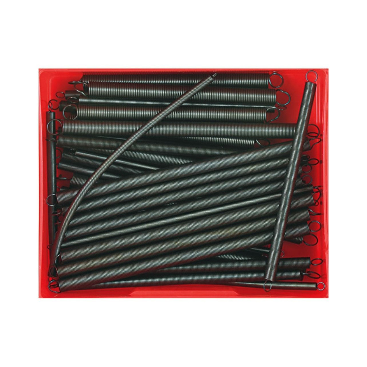 Champion Accelerator Springs Assortment 36pc - TWL NZ