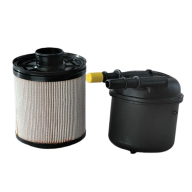 Fuel Filter Kit Ford F-Series, P550948 - TWL NZ