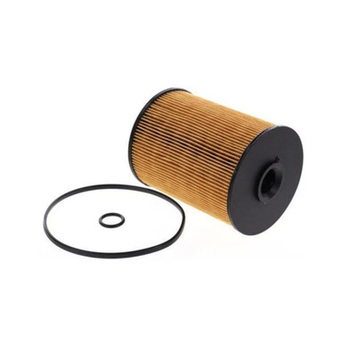 Fuel Filter Cartridge,P502425 - TWL NZ