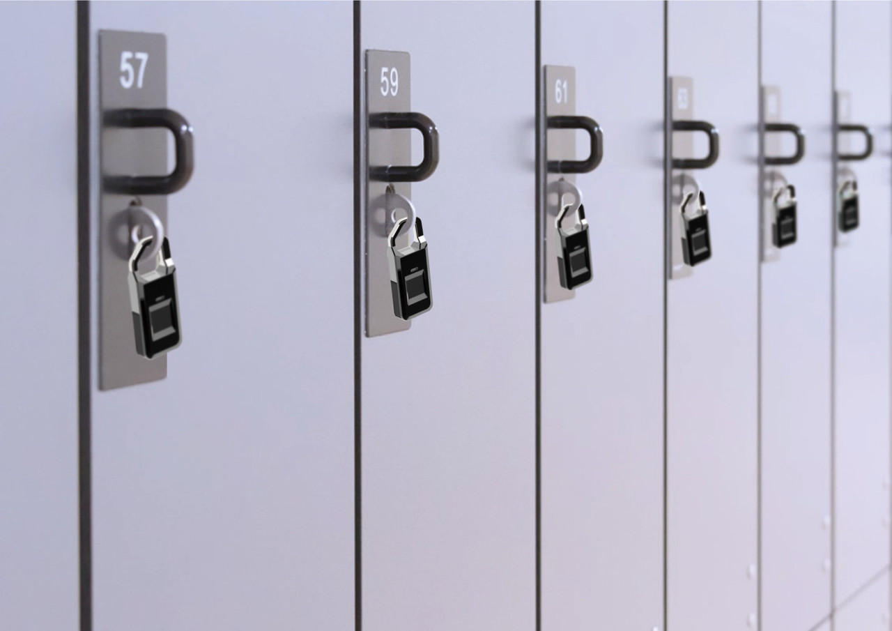 Biometric Fingerprint Mini Padlock Matte Chrome Finish | Buy ...