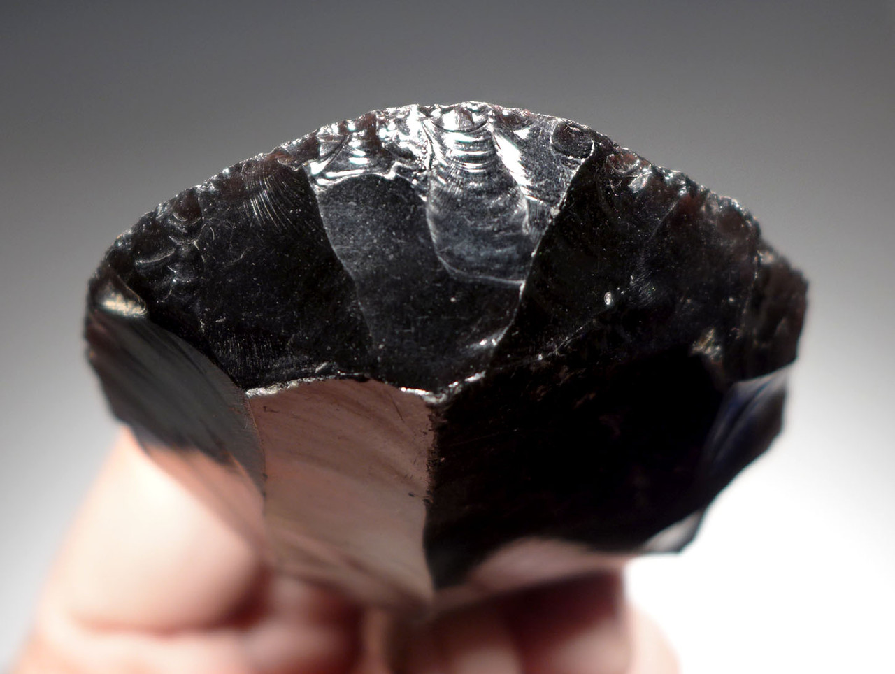 LARGE ROBUST MAYAN OBSIDIAN SKINNING DISCOIDAL UNIFACIAL SCRAPER *PC493 ...