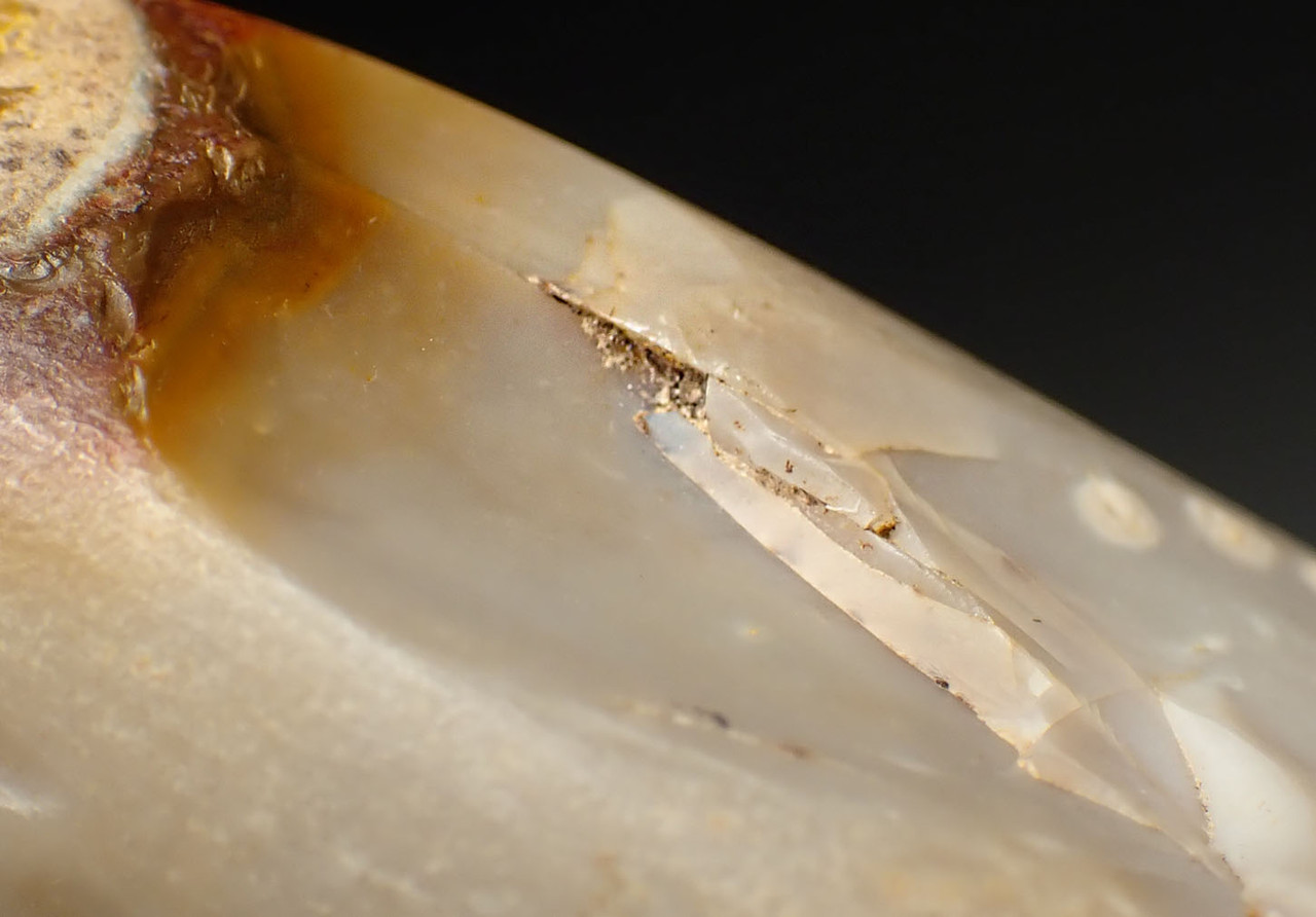 UNIQUELY COLORED EUROPEAN NEOLITHIC POLISHED FLINT CELT AXE FROM FRANCE ...