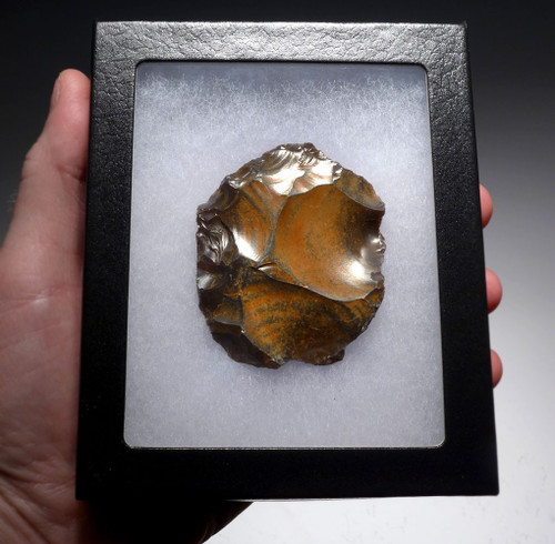 MIDDLE STONE AGE ATERIAN TURTLE BACK DISCOIDAL SCRAPER FROM PREHISTORIC ...