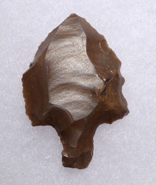 LARGE SILTSTONE MIDDLE STONE AGE ATERIAN TANGED POINT WITH EXTENSIVE ...
