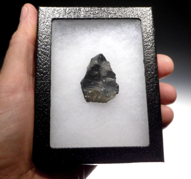 CLACTONIAN FLINT TOOLS NORTH EUROPE CLACTON ARTIFACTS