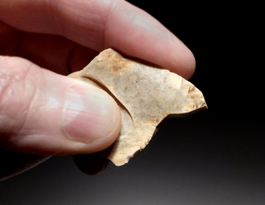 PREHISTORIC ART CAVE TOOLS CRO MAGNON