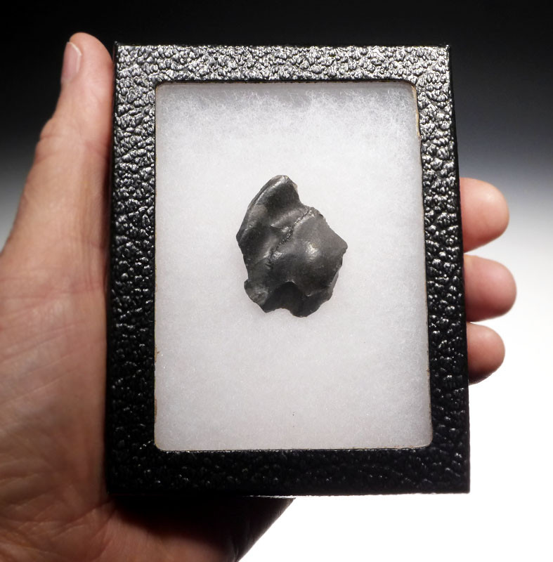 CLACTONIAN FLAKE TOOL LOWER PALEOLITHIC EUROPE ARTIFACT HOMO ERECTUS