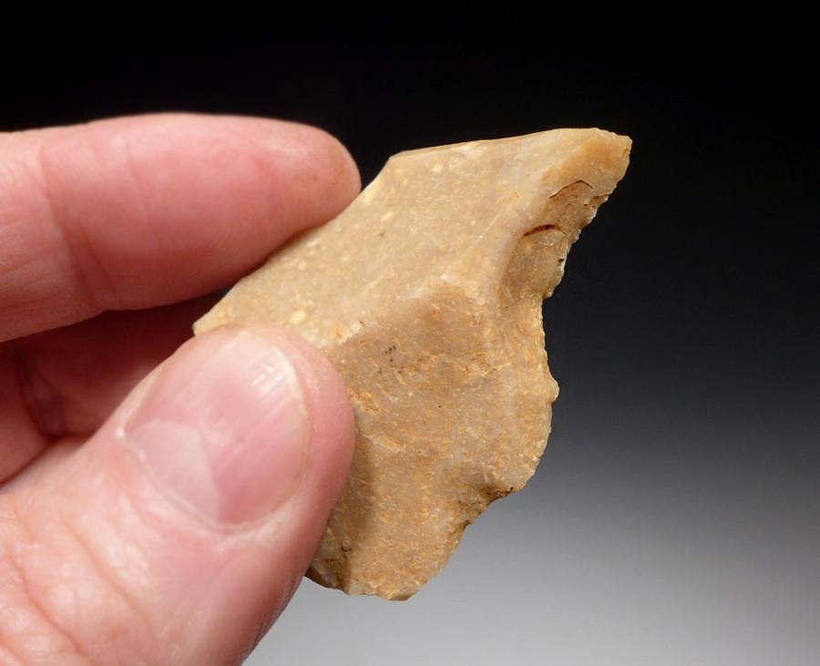 MOUSTERIAN NEANDERTHAL ENGRAVER FLAKE TOOL FOR MAKING PREHISTORIC ART ...