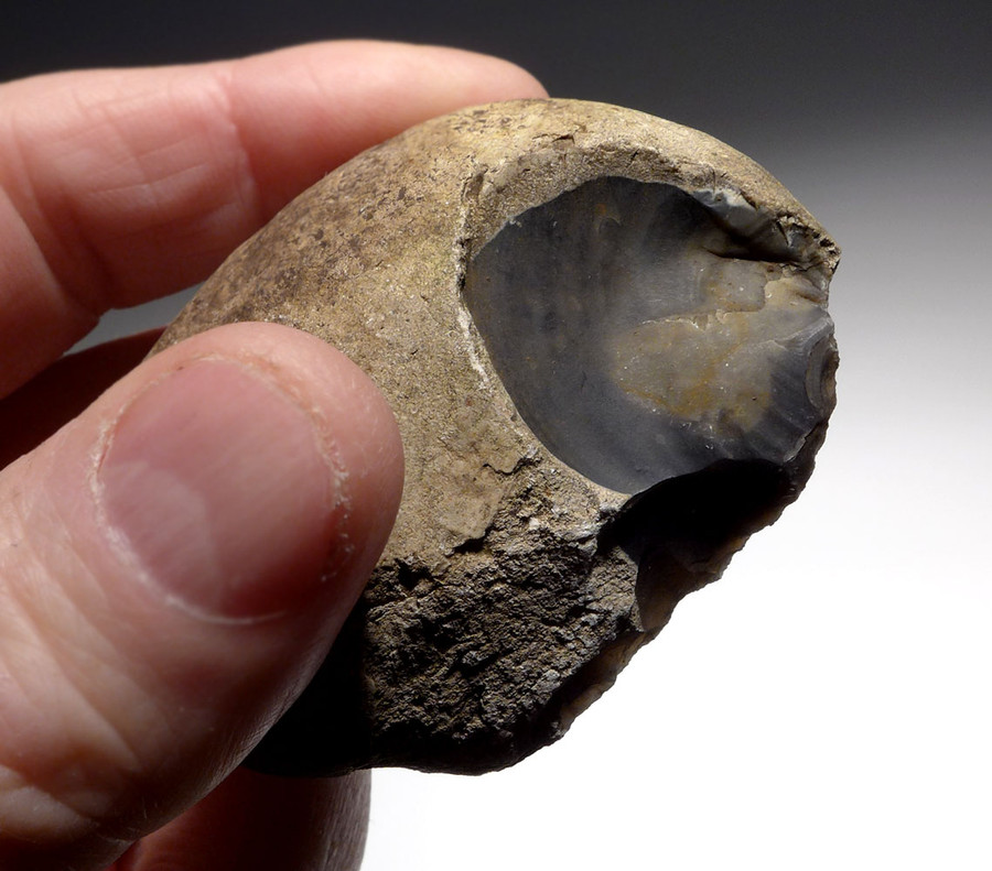 EXCEPTIONAL PREHISTORIC ENGLAND OLDOWAN PEBBLE CHOPPER AXE FROM FAMOUS ...