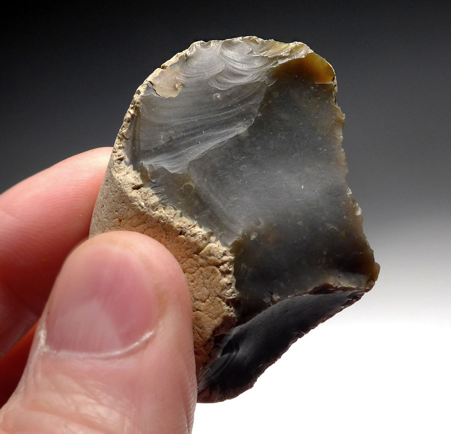 RARE OLDOWAN PEBBLE SCRAPER TOOL FROM ENGLAND'S FAMOUS HAPPISBURGH ...