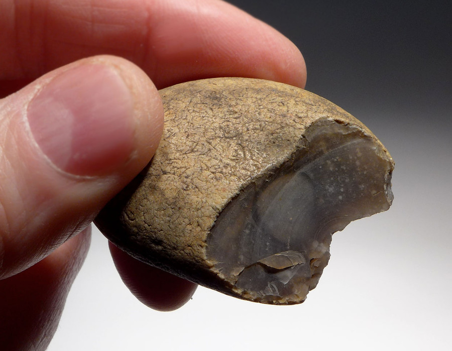 BRITISH HOMO ERECTUS OLDOWAN PEBBLE TOOL SCRAPER FROM FAMOUS ...