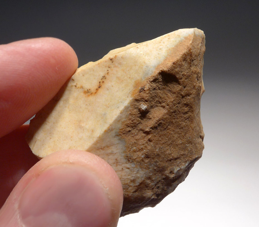CRO-MAGNON UPPER PALEOLITHIC AURIGNACIAN BURIN ART GRAVER TOOL FROM ...