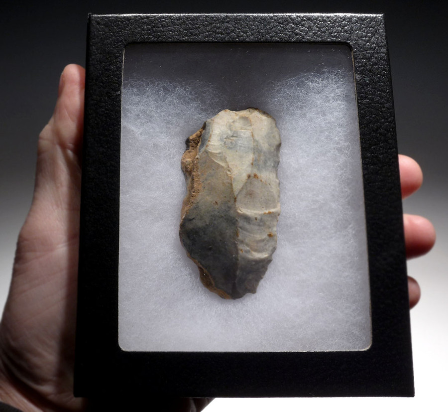 SPECTACULAR LARGE CRO-MAGNON UPPER PALEOLITHIC AURIGNACIAN SIDE SRAPER ...