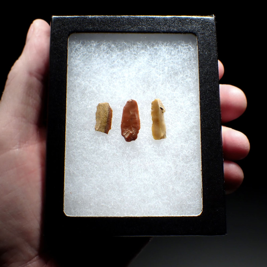 THREE HUNGARIAN EUROPEAN MESOLITHIC MICROBLADES OF RADIOLARITE *N287 ...